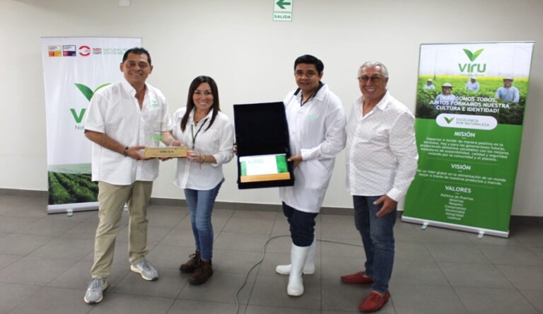 Virú S.A. y Enel X Perú ponen en marcha planta solar en La Libertad